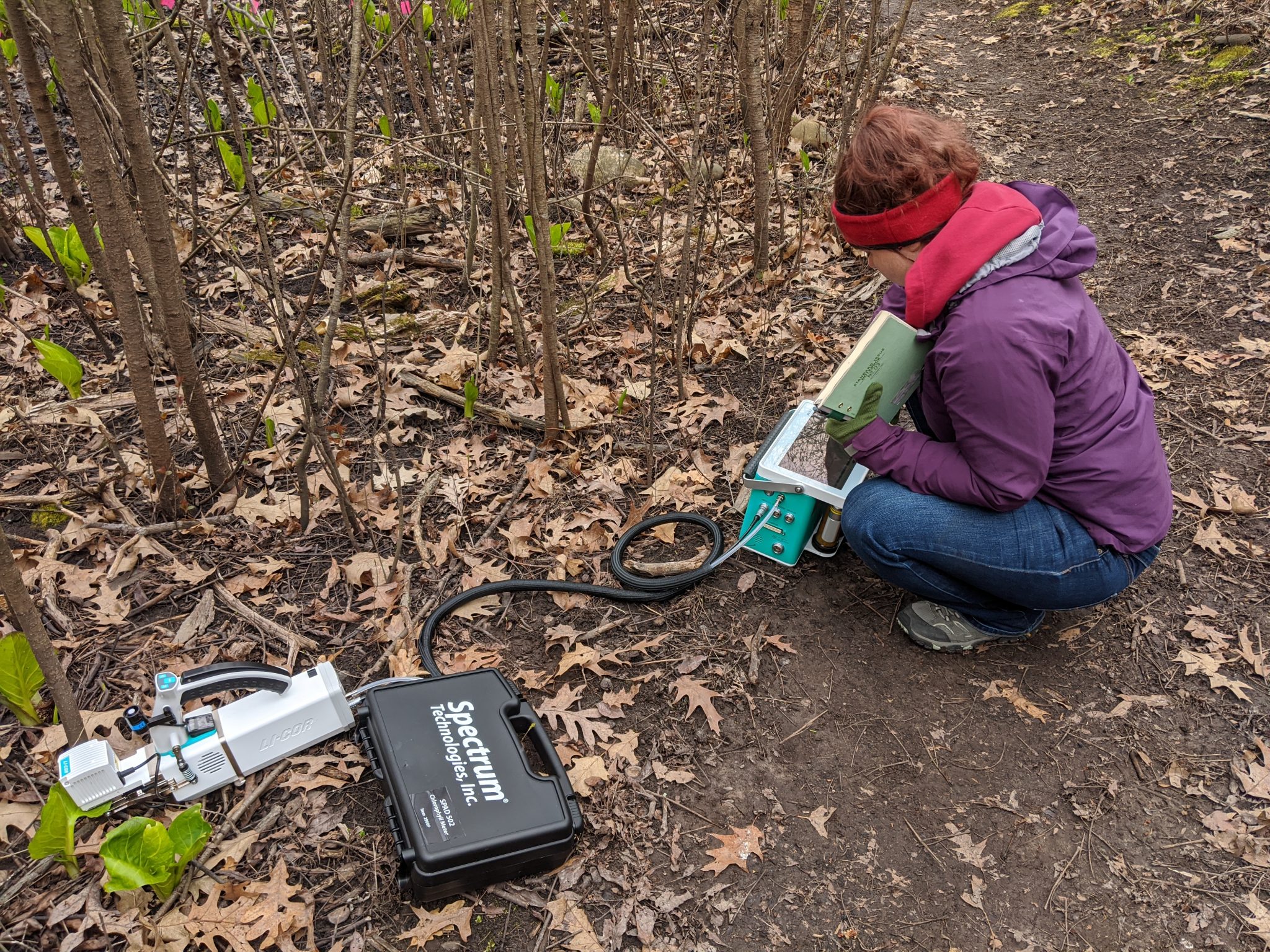 Ecophysiology, Global Change, and Ecosystem Function - Lemoine Lab
